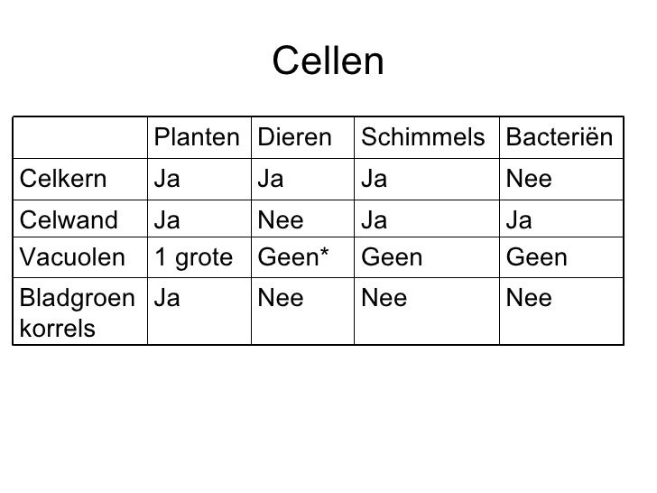 Cellen Powerpoint