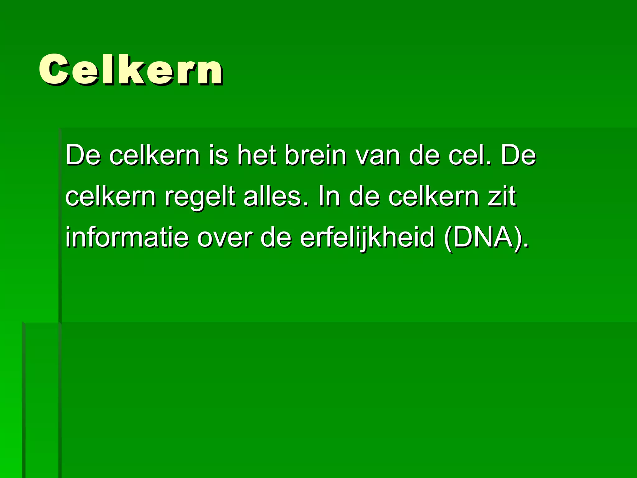 Cellen Staan Aan De Basis | PPT