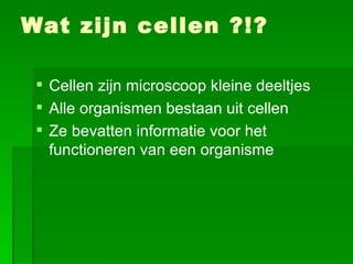 Cellen Staan Aan De Basis | PPT