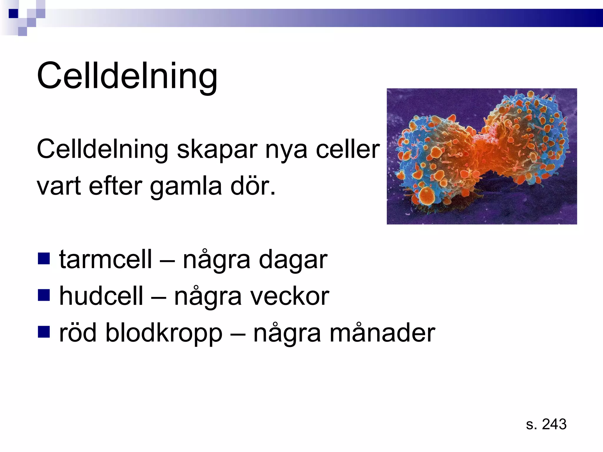 Celler i samarbete | PPT | Biological Sciences | Science