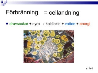 Celler i samarbete | PPT
