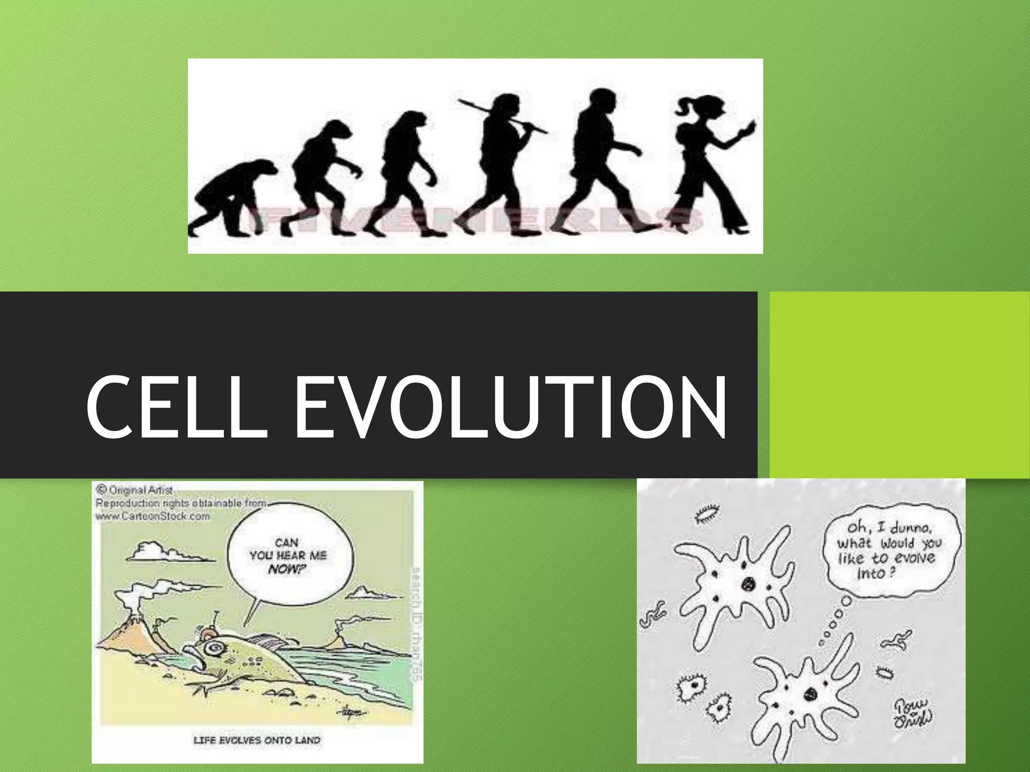 Cell evolution | PPTX
