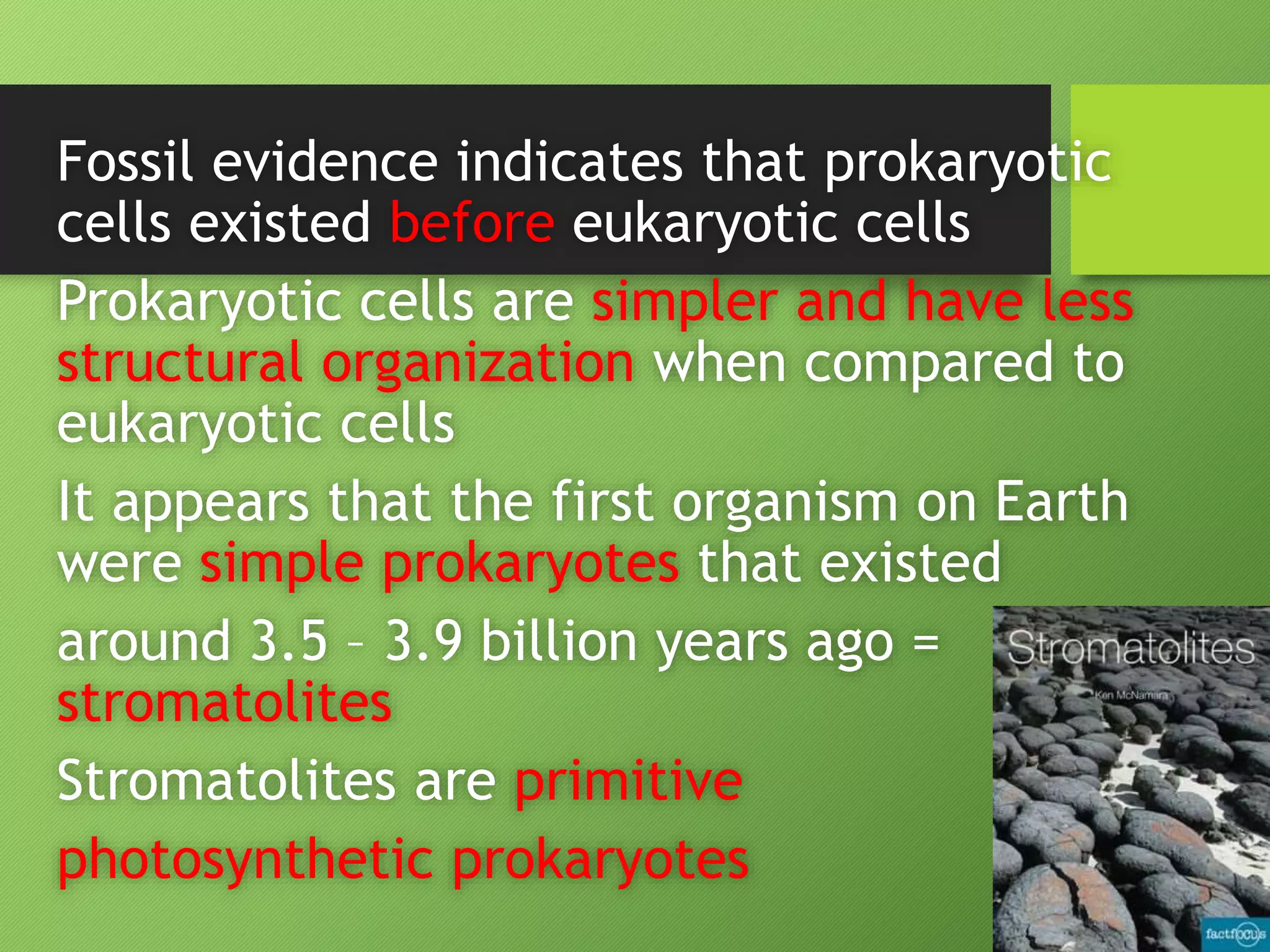Cell evolution | PPTX