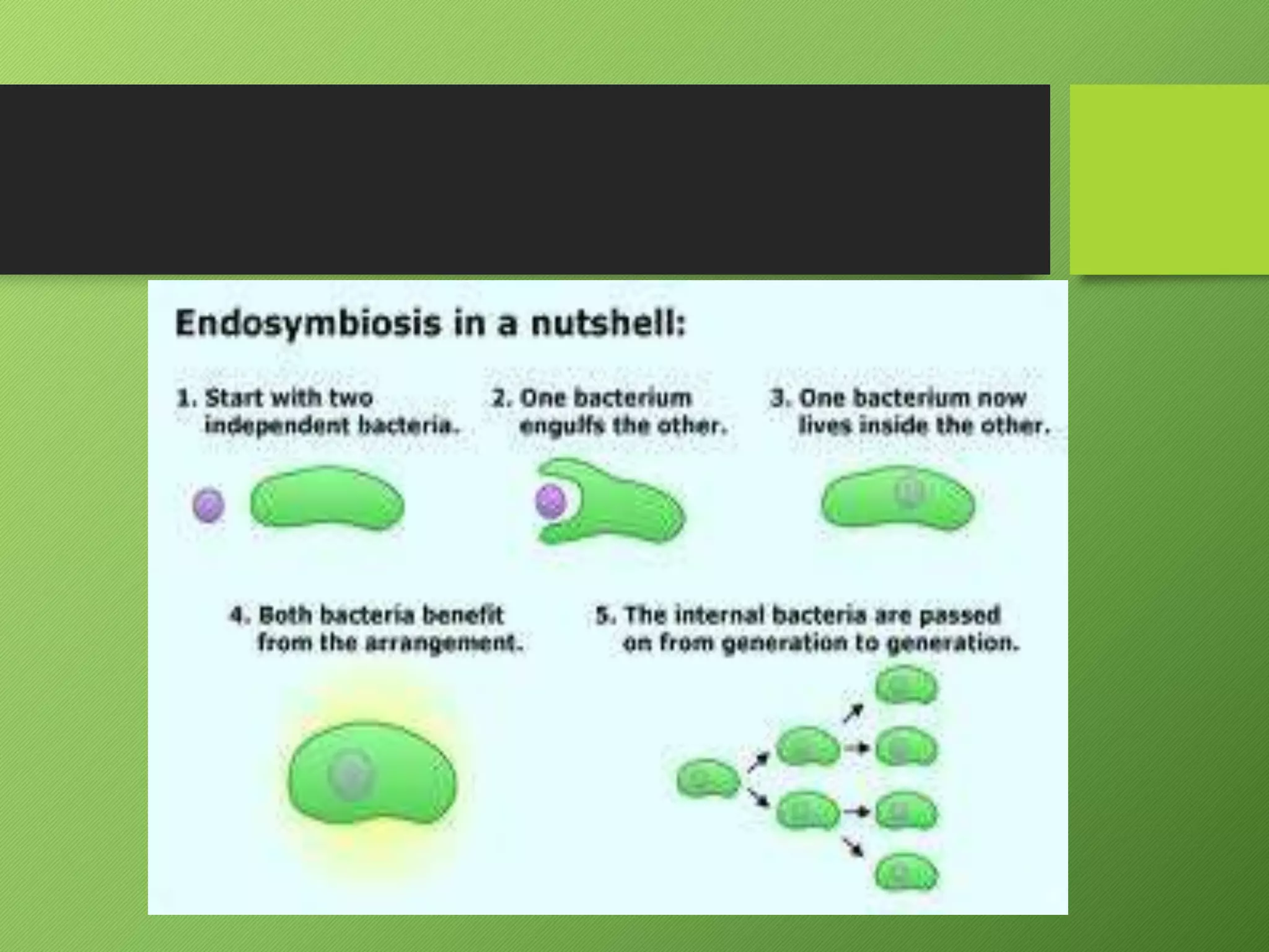 Cell evolution | PPTX
