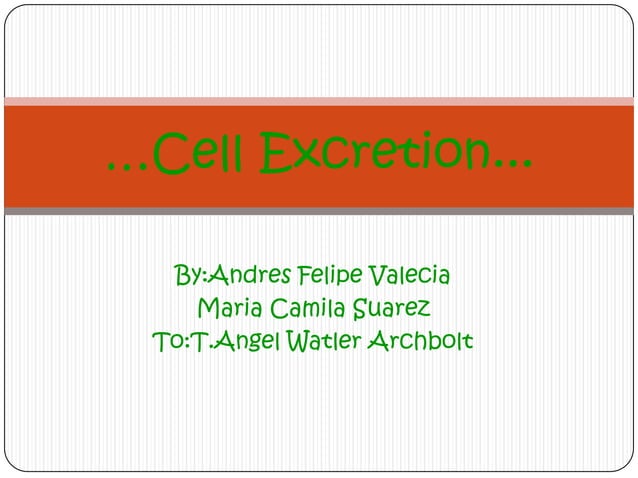 Cell excretion | PPTX | Biological Sciences | Science