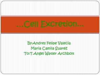 Cell excretion | PPTX