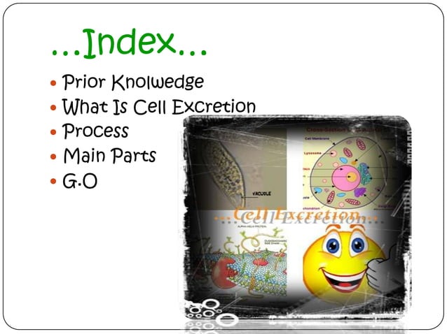 Cell excretion | PPTX