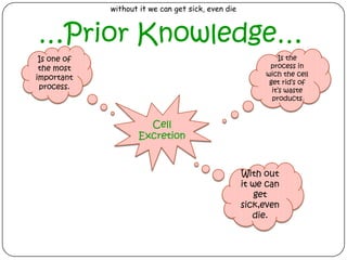 Cell excretion | PPTX