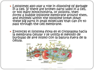 Cell excretion | PPTX