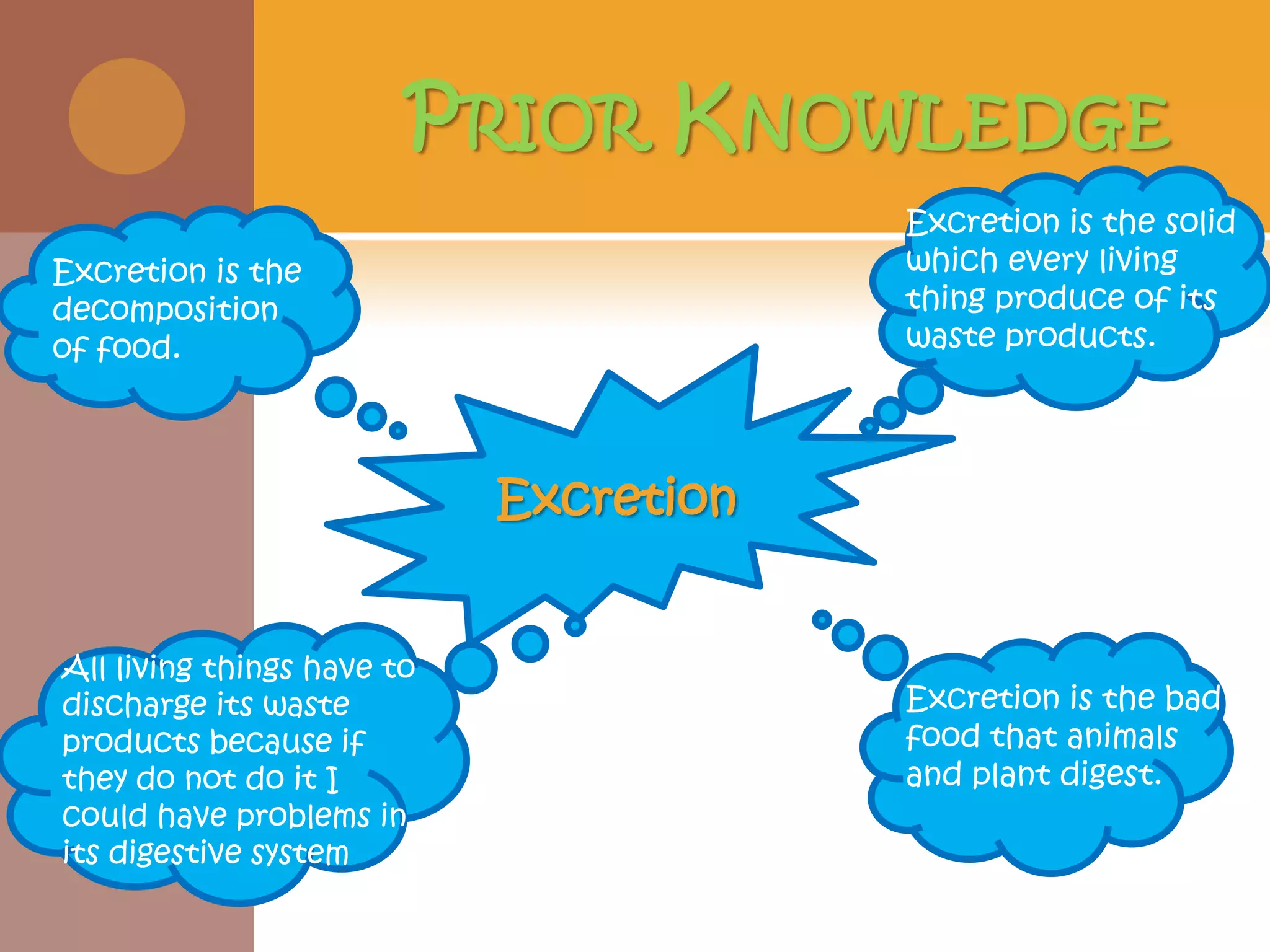 Cell excretion Power Point Presentation | PPTX