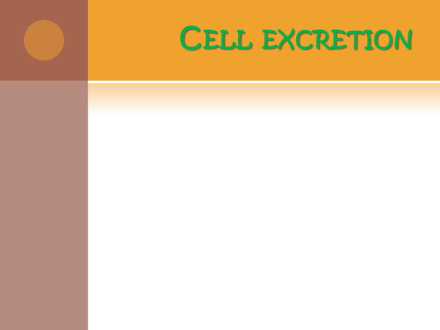 Cell excretion Power Point Presentation | PPT