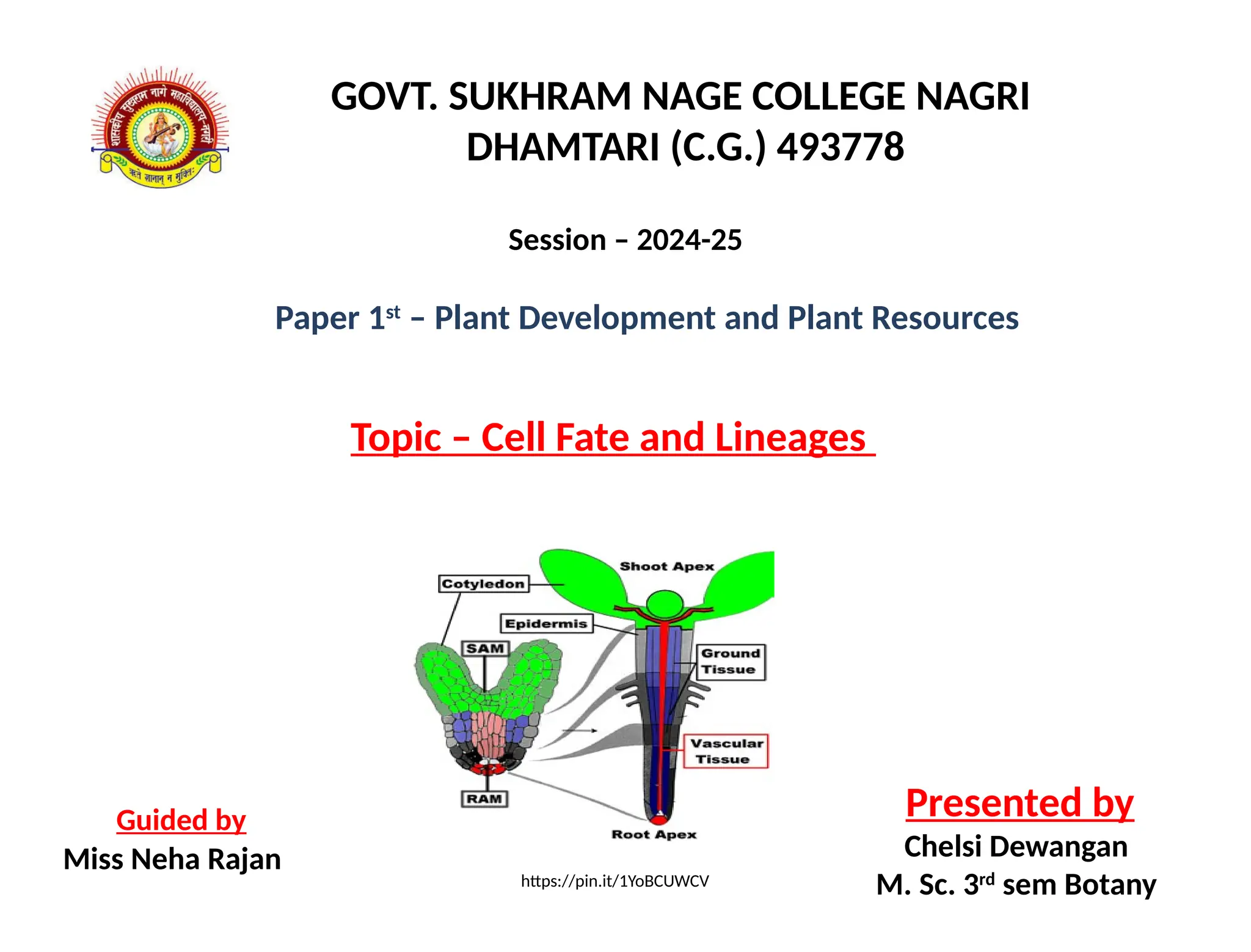 cell fate and lineage notes for msc.pptx