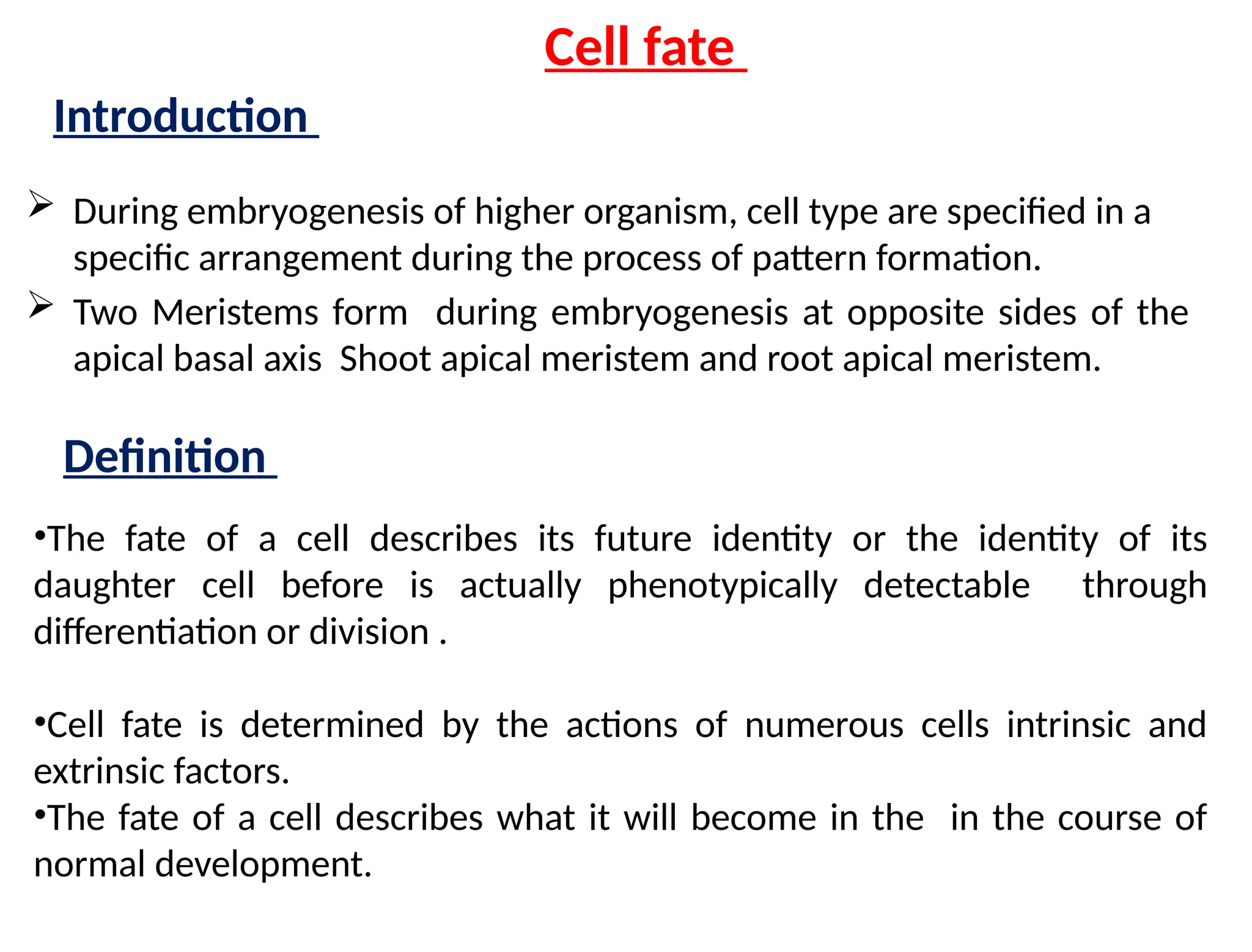 cell fate and lineage notes for msc.pptx