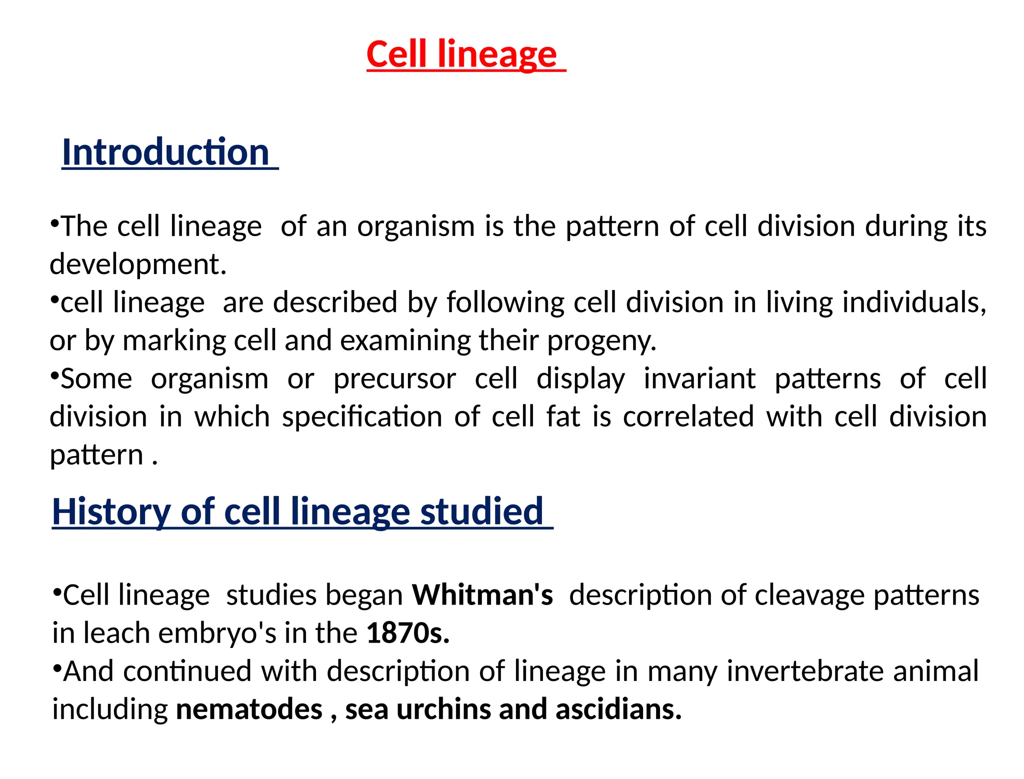 cell fate and lineage notes for msc.pptx