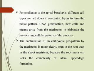 Cell fate and lineages (Root), pattern formation.pptx
