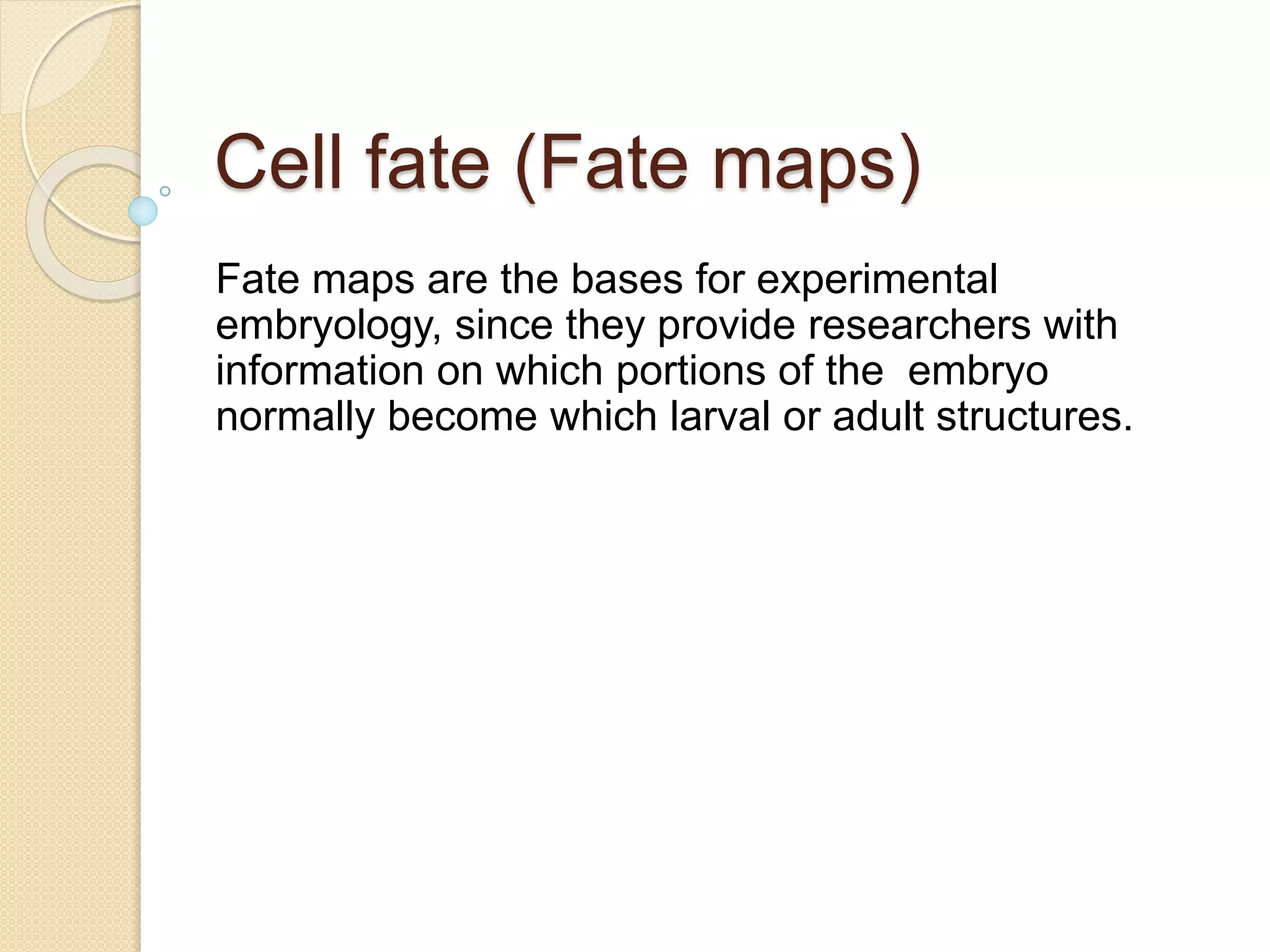 Cell fate (fate maps) | PPTX