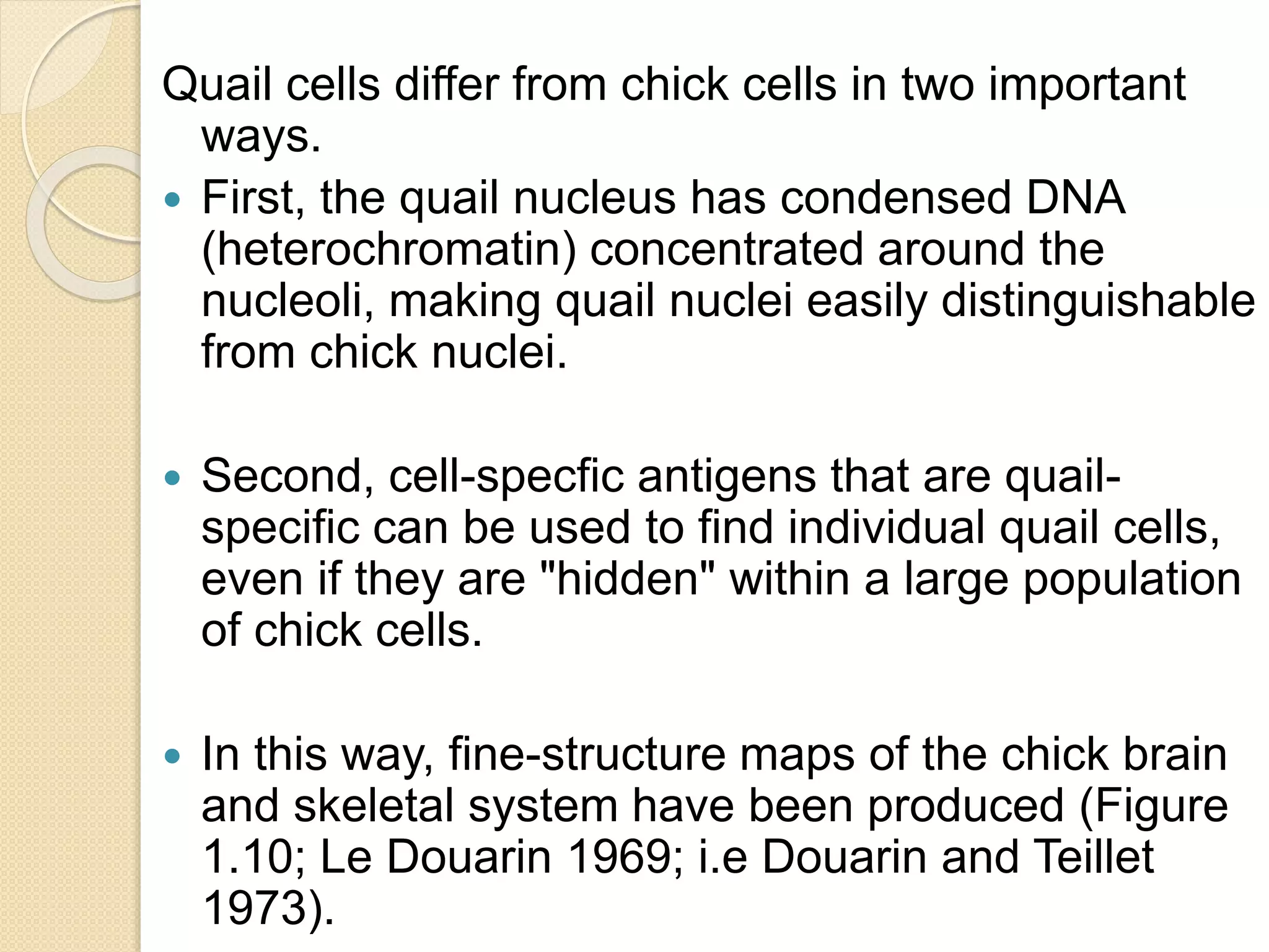 Cell fate (fate maps) | PPTX