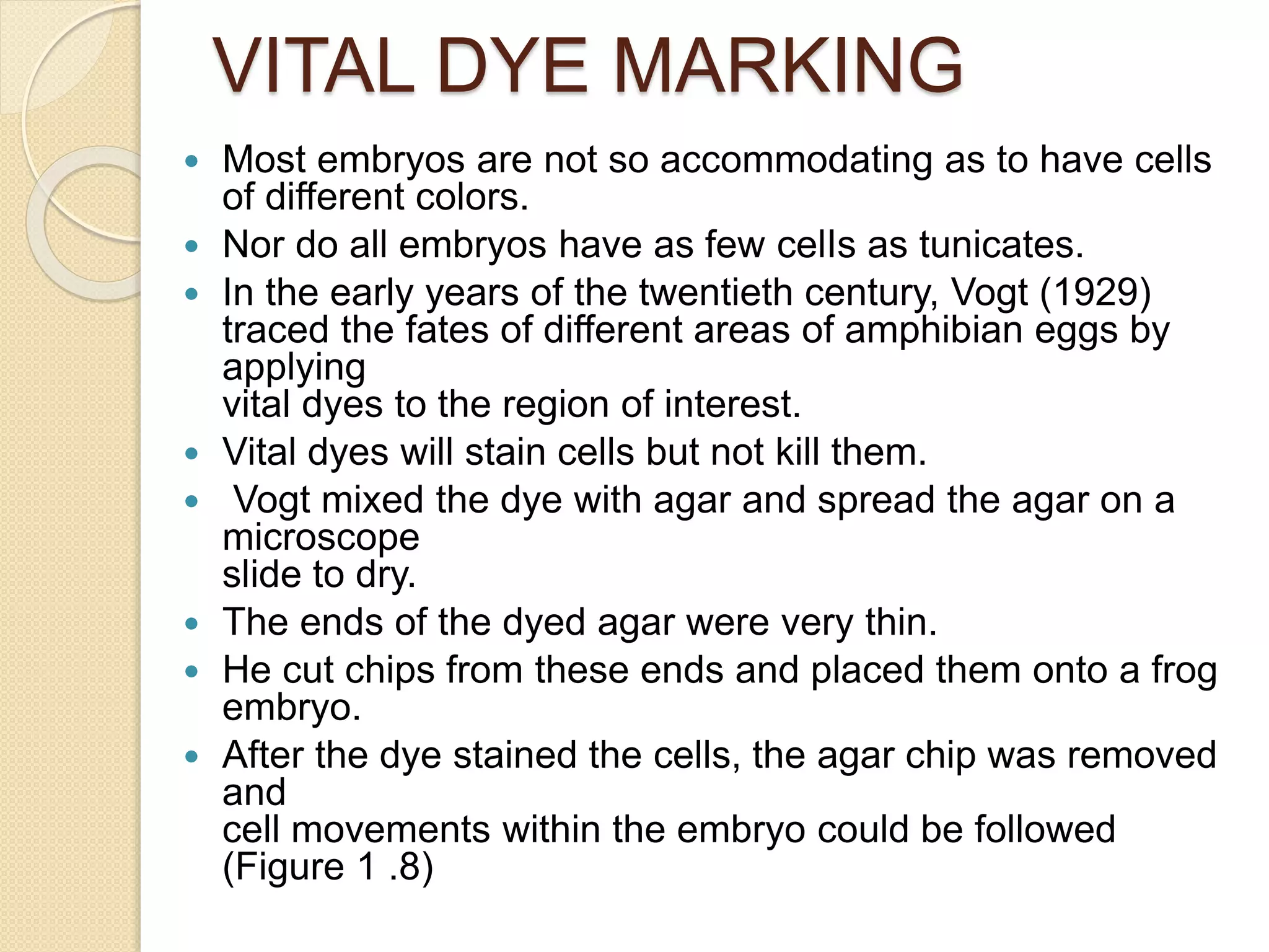 Cell fate (fate maps) | PPTX