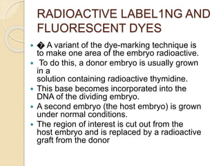Cell fate (fate maps) | PPTX