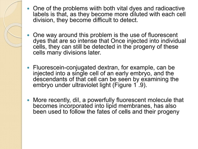 Cell fate (fate maps) | PPTX
