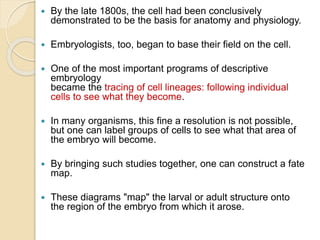 Cell fate (fate maps) | PPTX