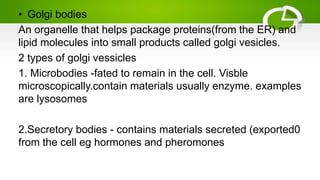 CELL FEATURES presentation.pptx andrew.pptx | Free Download