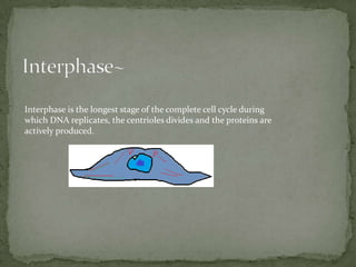 Cell flipbook | PPTX | Needlework | Arts and Crafts