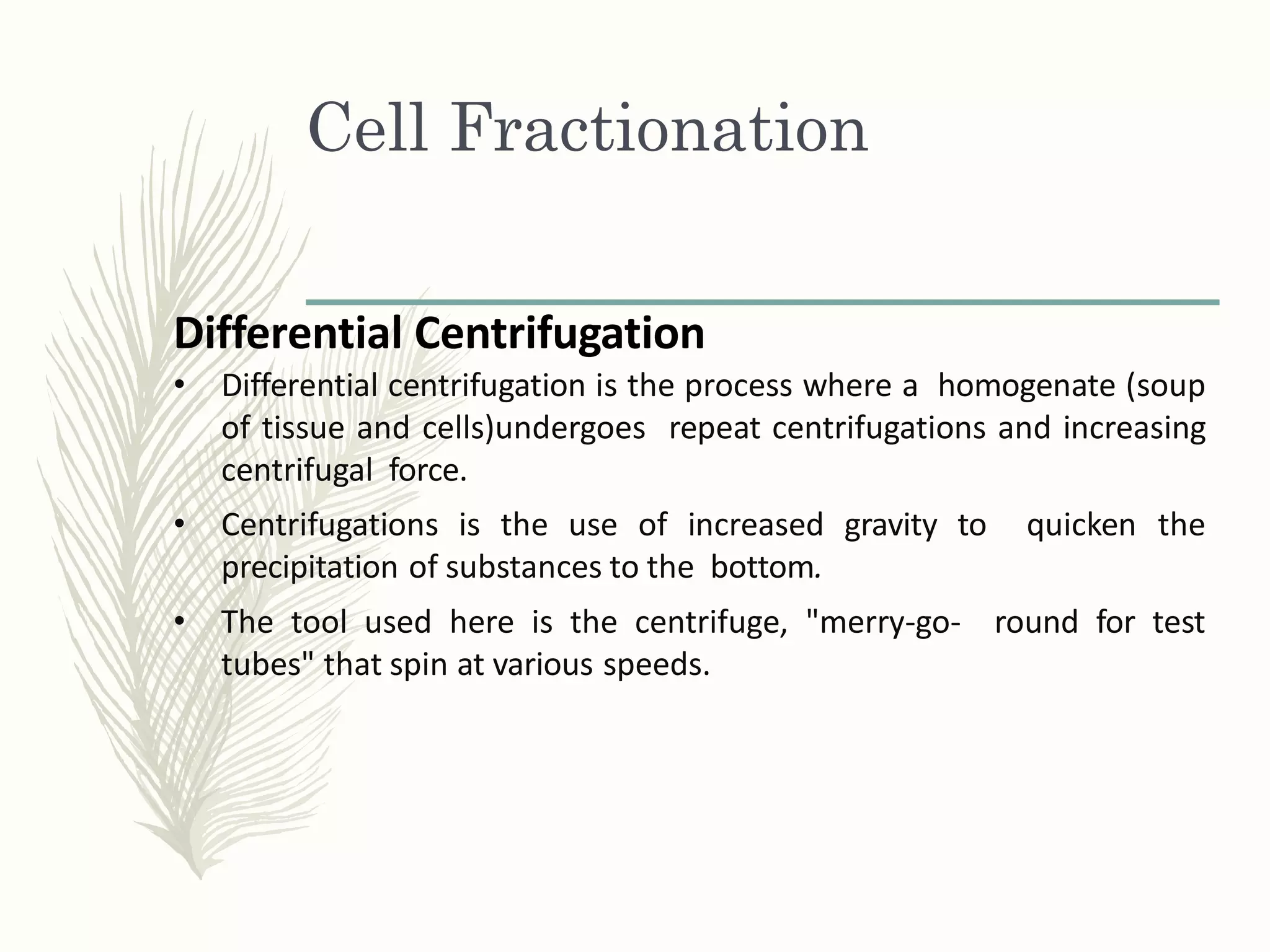 Cell Fractionation 09 May 2020.pdf