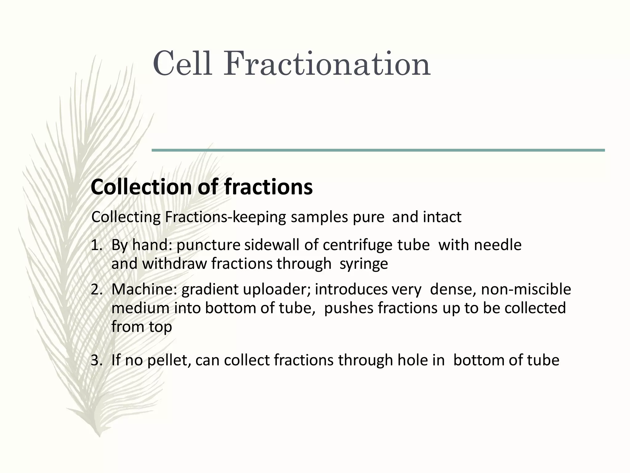 Cell Fractionation 09 May 2020.pdf