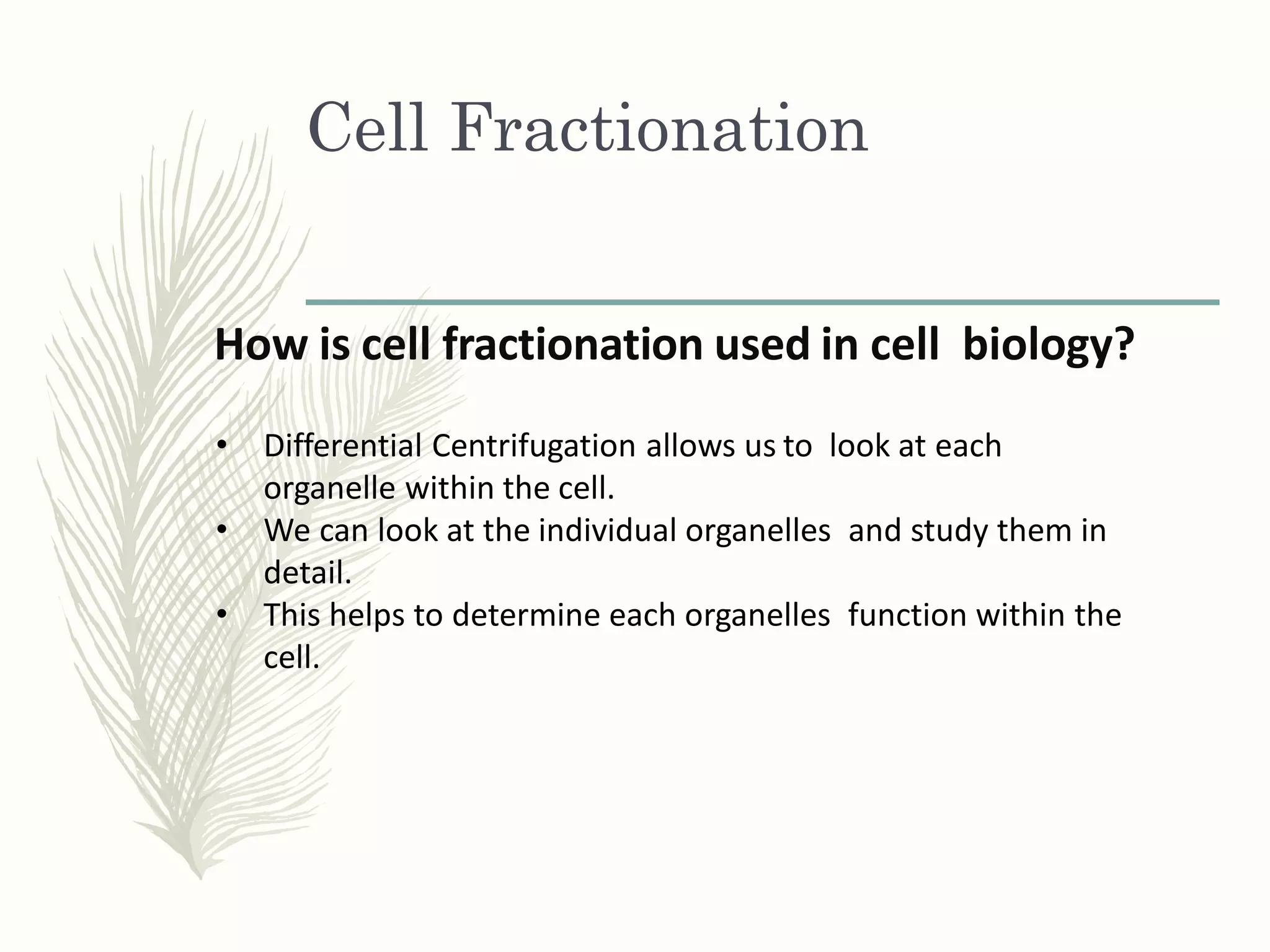 Cell Fractionation 09 May 2020.pdf