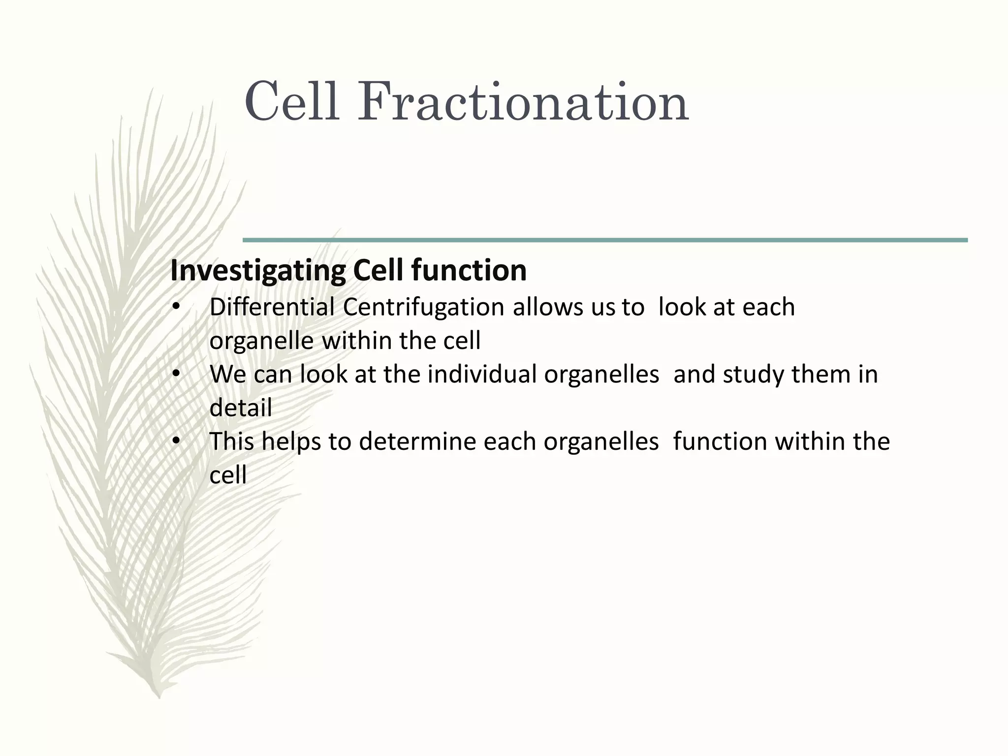 Cell Fractionation 09 May 2020.pdf