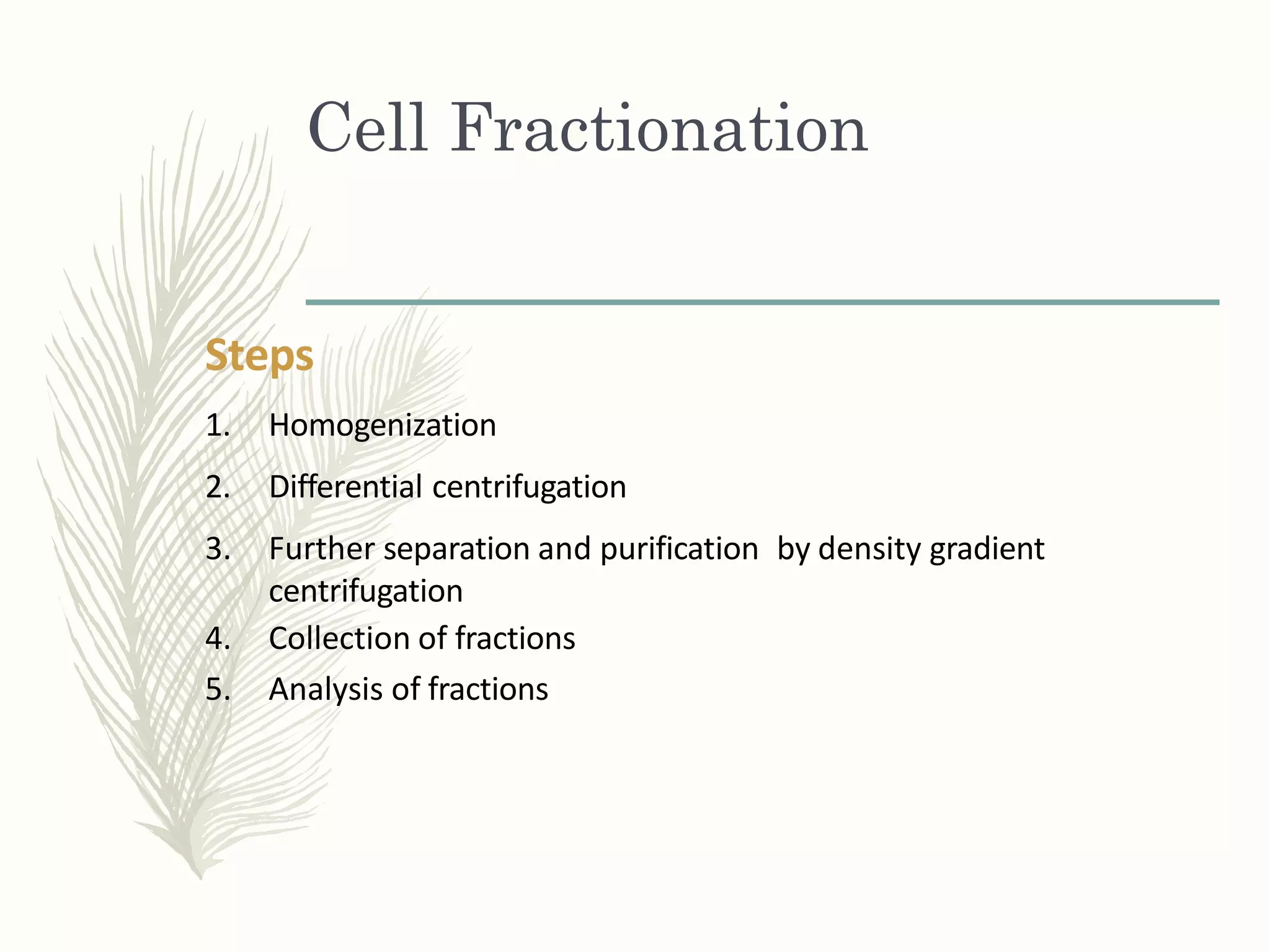 Cell Fractionation 09 May 2020.pdf
