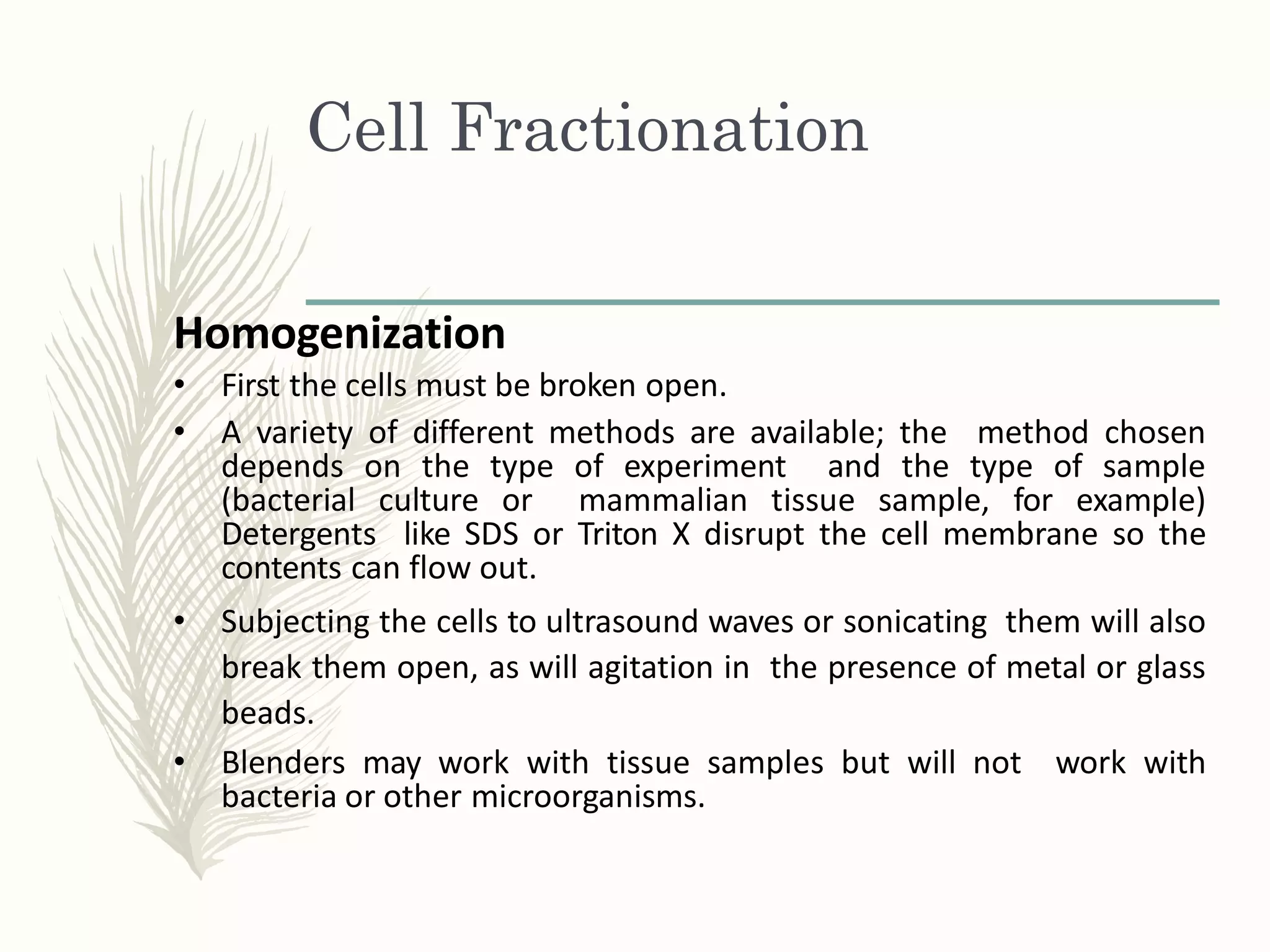 Cell Fractionation 09 May 2020.pdf