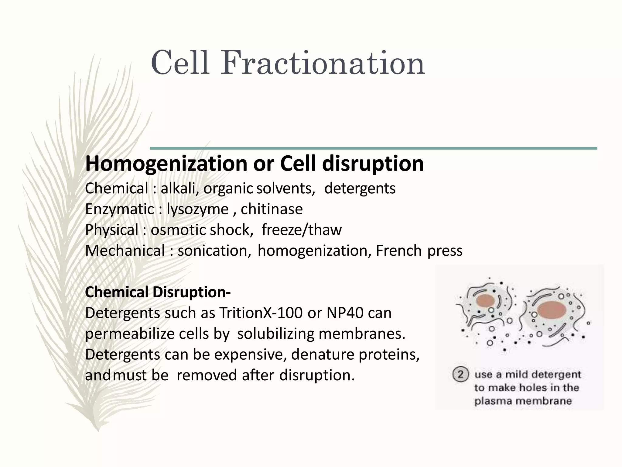 Cell Fractionation 09 May 2020.pdf