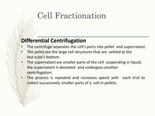 Cell Fractionation 09 May 2020.pdf