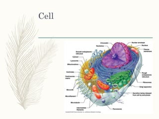 Cell Fractionation 09 May 2020.pdf