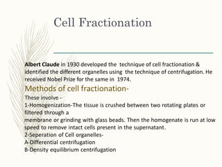 Cell Fractionation 09 May 2020.pdf