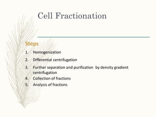Cell Fractionation 09 May 2020.pdf