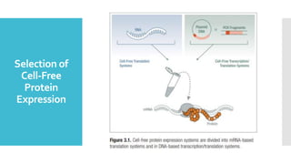 Cell free protein expression system | PPTX