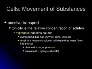 Cell Function Notes Sub | PPT