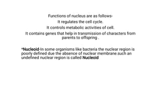 Cell_Fundamental of Life (1).pdf