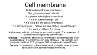Cell_Fundamental of Life (1).pdf