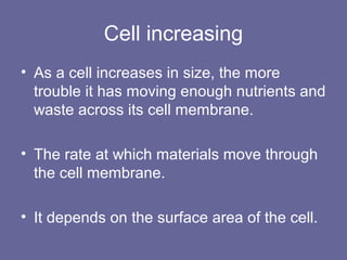 Cell growth | PPT