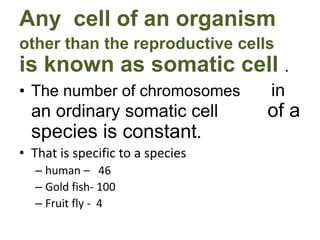 Cell growth & cell division | PPTX