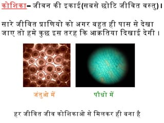 Cell hindi | PPT
