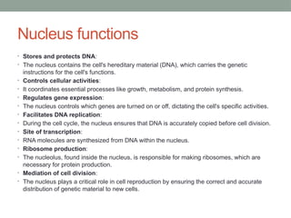 Cell histology presentation by Dr.Rumaisa PT | PPTX
