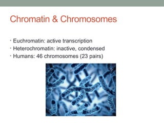 Cell histology presentation by Dr.Rumaisa PT | PPTX