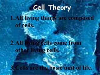 Cell history for students | PPTX