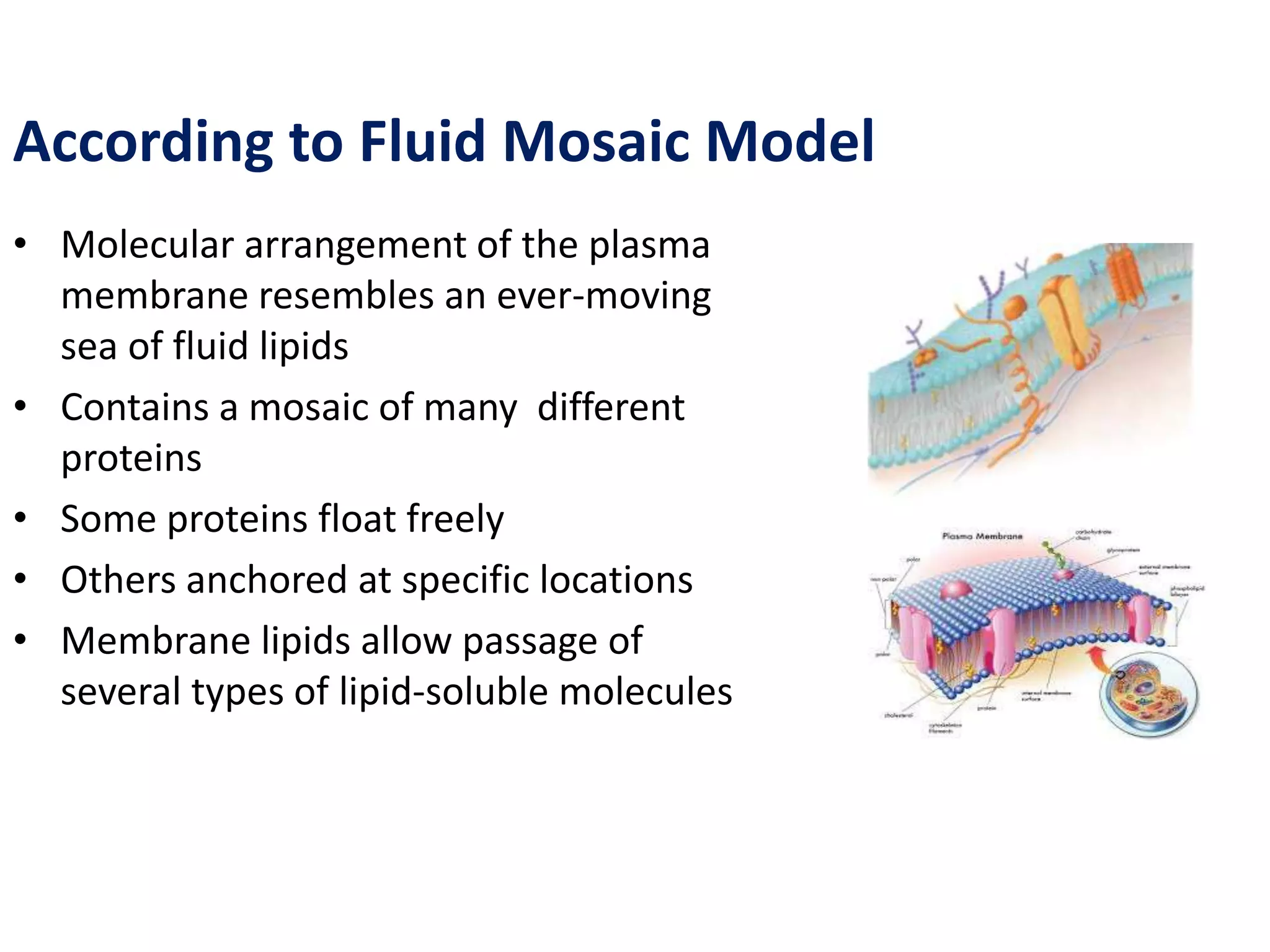 Cell & Homeostasis | PPTX