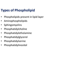 Cell & Homeostasis | PPTX